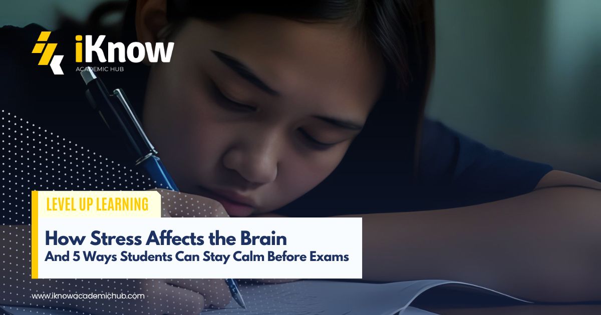 How Stress Affects the Brain — And 5 Ways Students Can Stay Calm Before ...